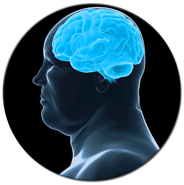 Home - UCLA G. Oppenheimer Center for Neurobiology of Stress and Resilience